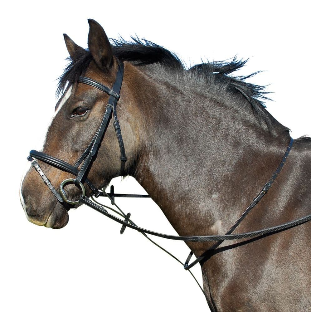 Windsor Standing Martingale in black or havana. Pony, Cob and Horse sizes