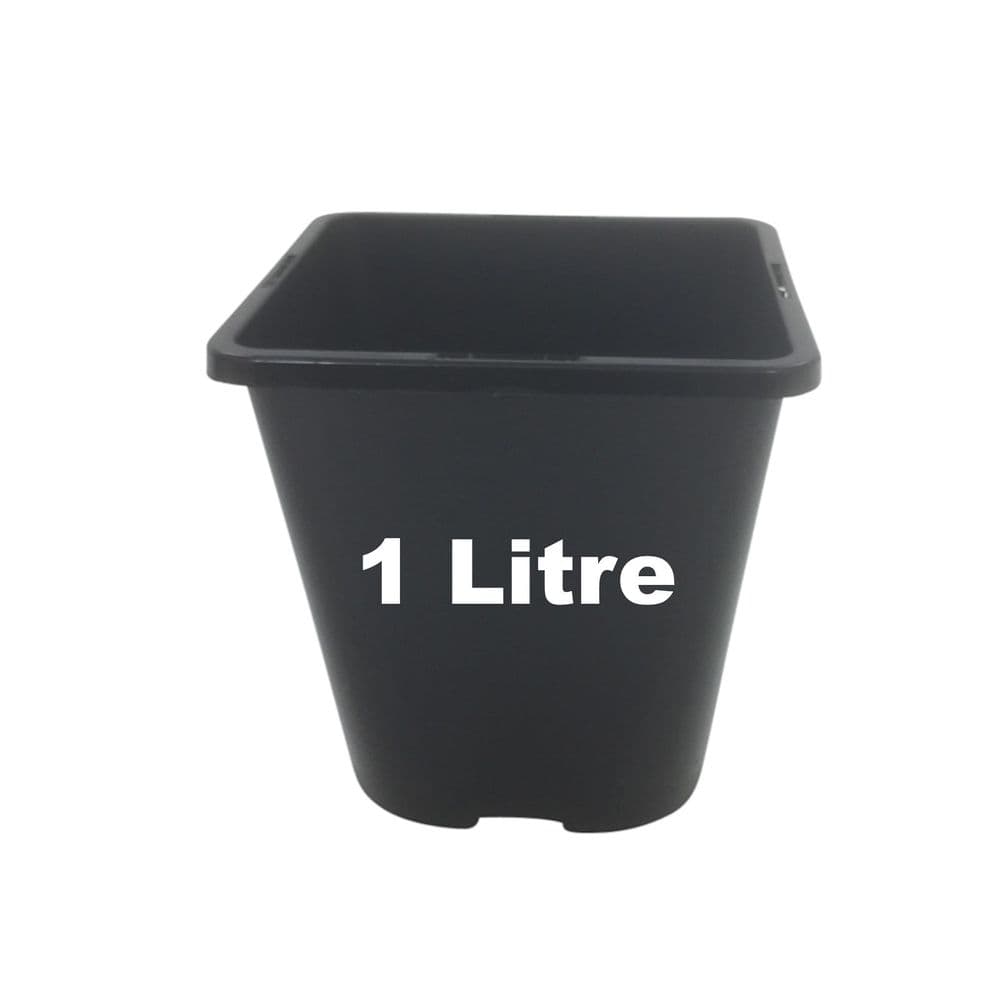 1 Litre Square Plant Pots Durable Black Containers for Seedlings ...