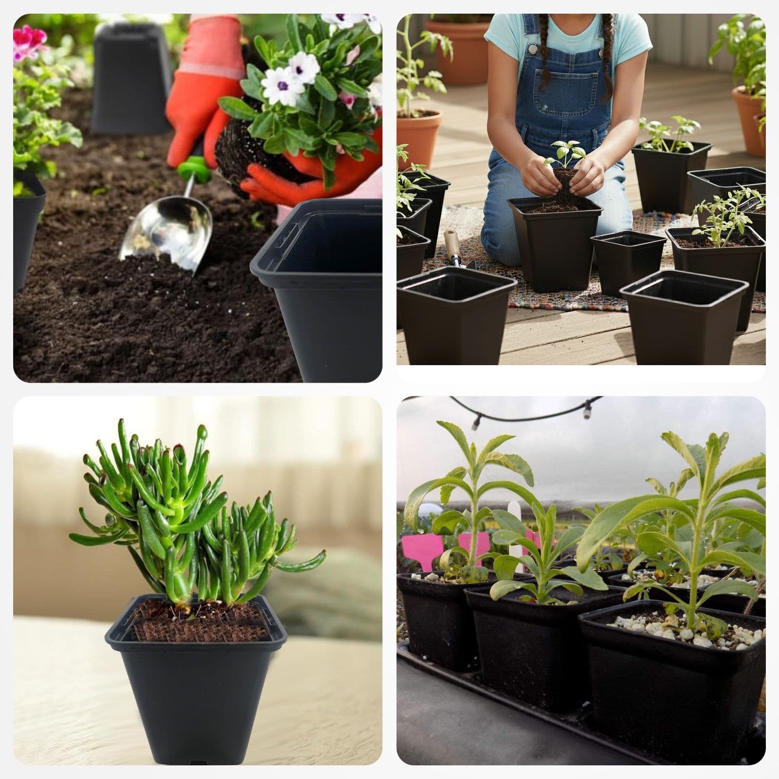 10 cm Square Plant Pots Strong Black Seedling & Propagation Containers