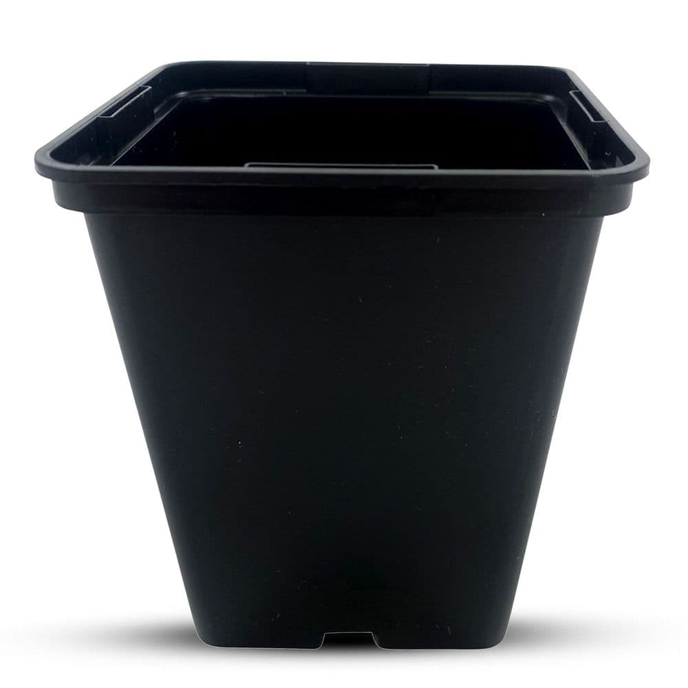 10 cm Square Plant Pots Strong Black Seedling & Propagation Containers