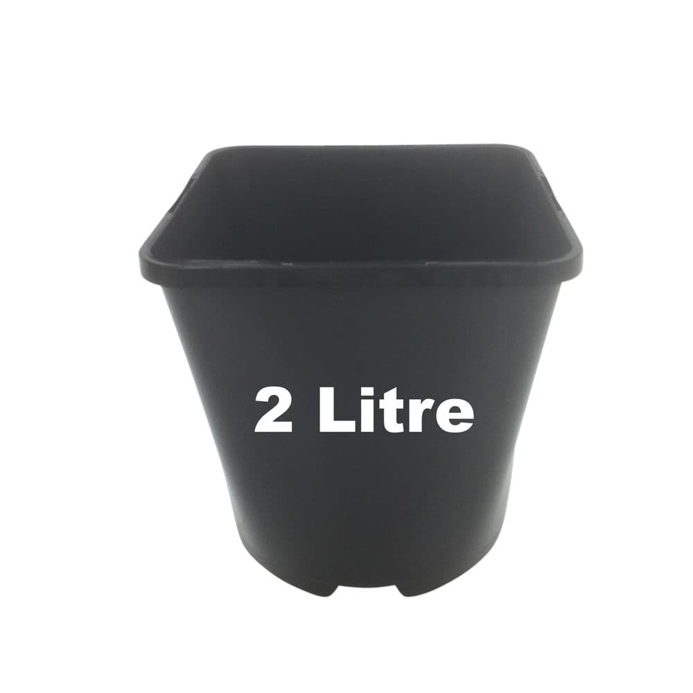 2 Litre Square Plant Pots Durable Black Containers for Larger Plants