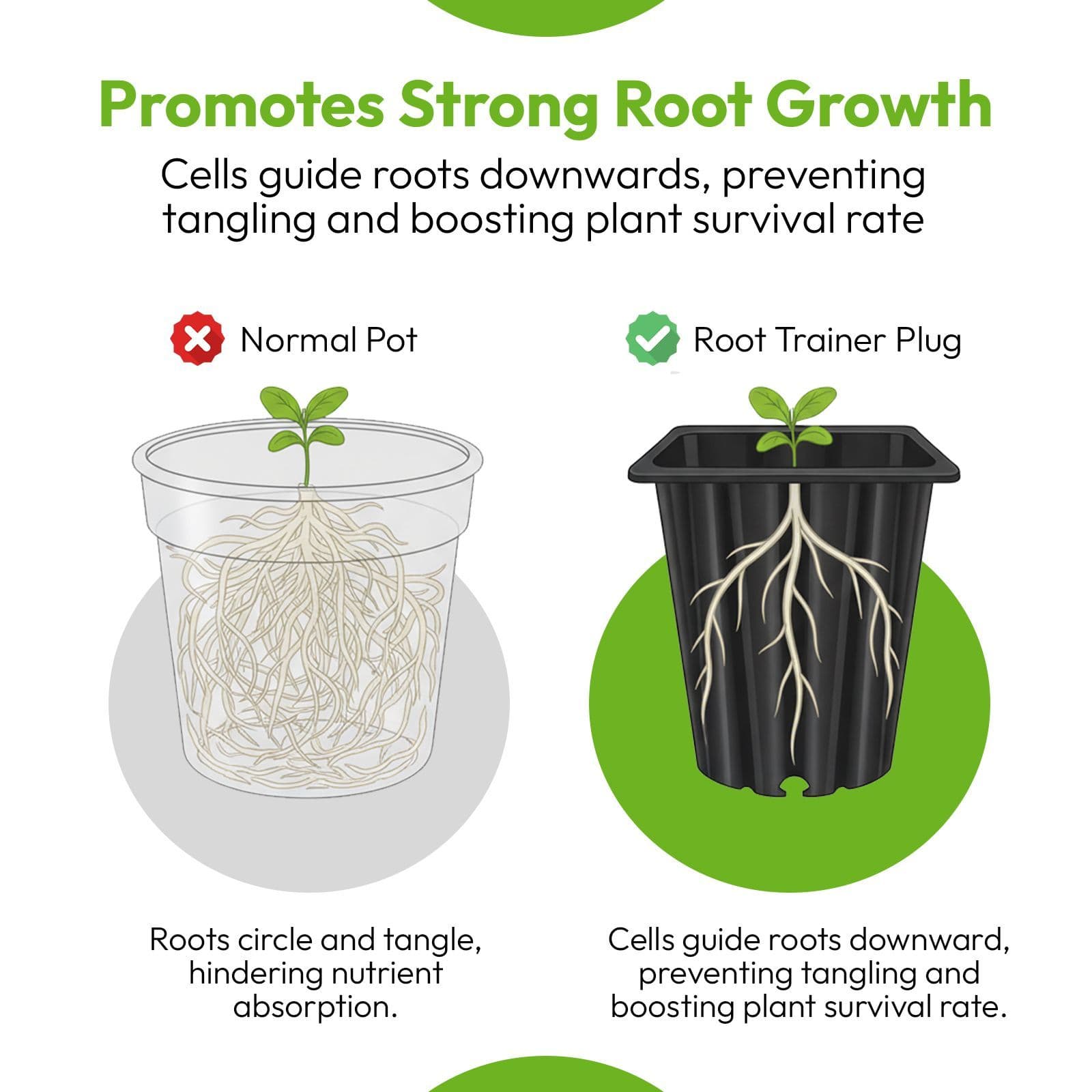 28 Cell Root Trainer Tree Tray – Deep Propagation Tray