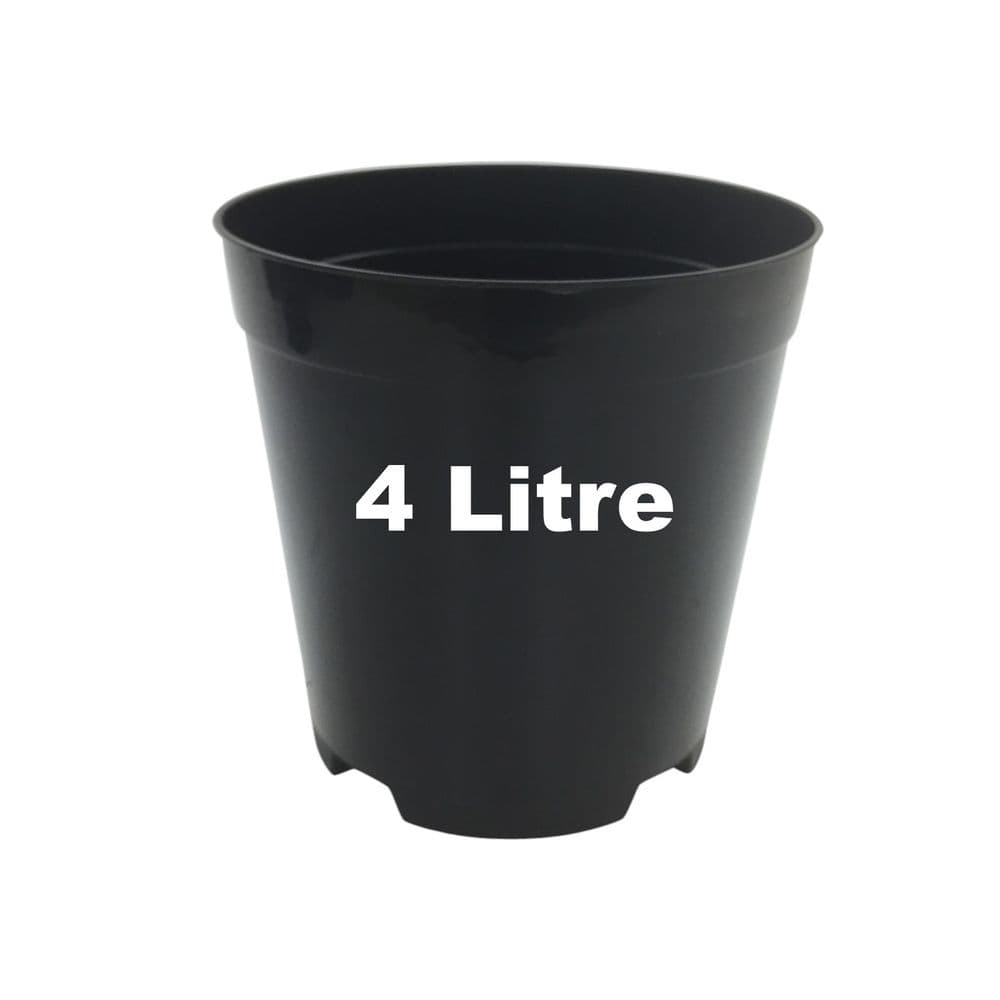 4 Litre Deep Rose Pot Heavy-Duty Injection-Moulded Plastic with Dual ...