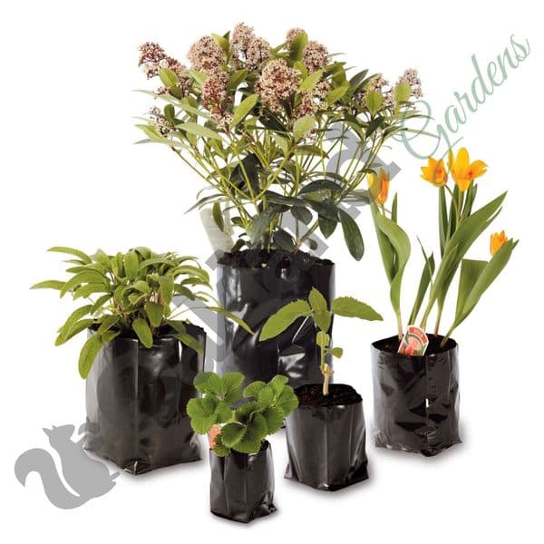 4 Litre Poly Pot Tough Recyclable Polythene Grow Container with Pre-Cut ...