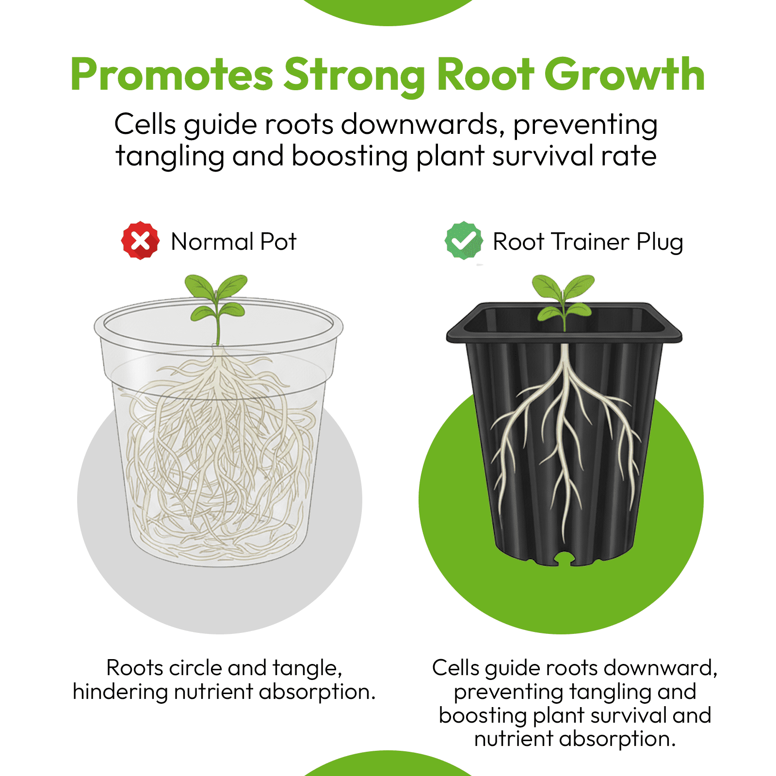45 Cell Root Trainer Tree Tray Deep Propagation Tray for Strong Roots