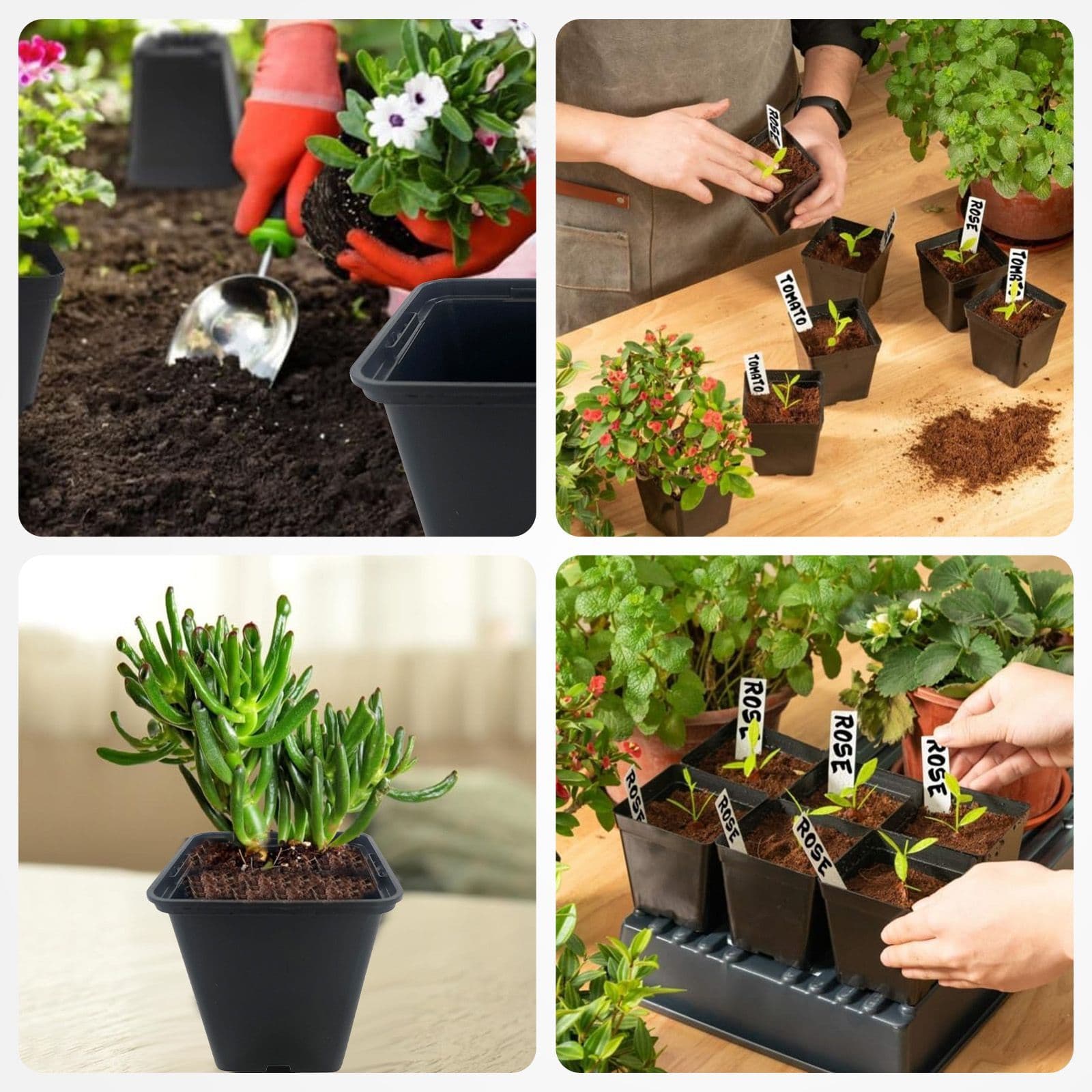 9 cm Square Plant Pots Durable Black Seedling & Propagation Containers