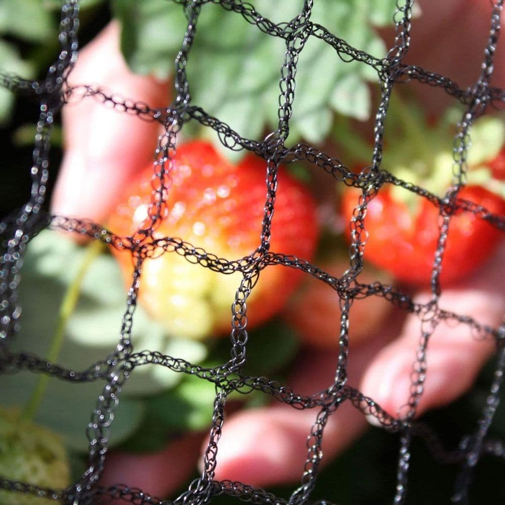 Garden Bird Netting 4m Wide