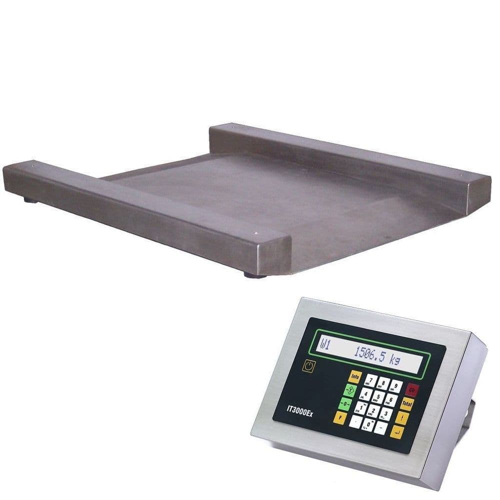 Zone 1/21 ATEX Drive Through Scale - 1000kg x 0 2kg - 750mm x 750mm