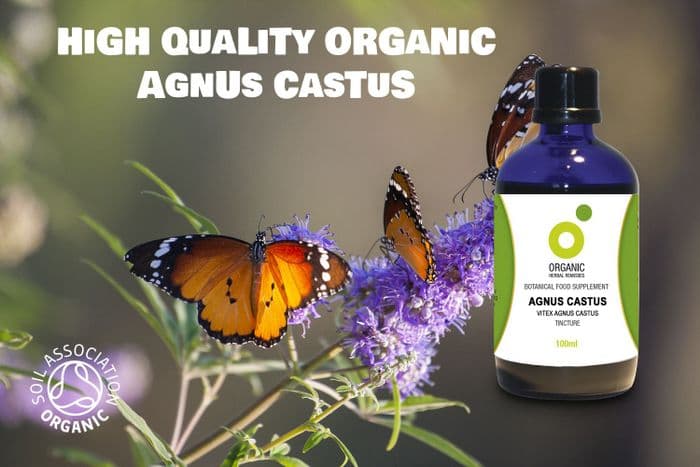Organic Agnus Castus Tincture | Chaste Tree Berry Extract