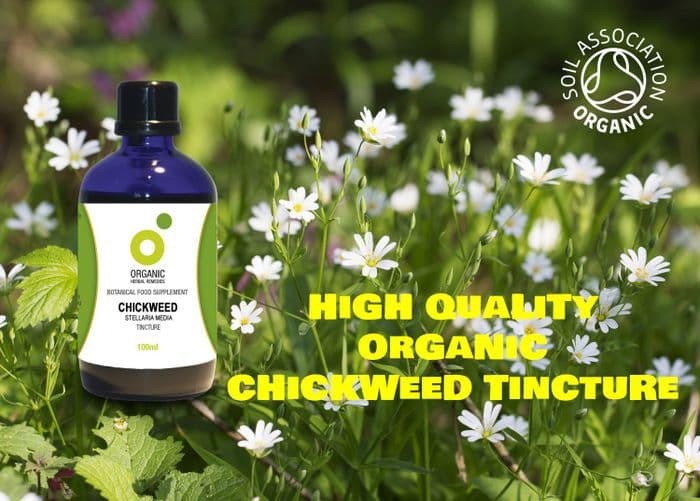 Organic Chickweed Tincture 100ml