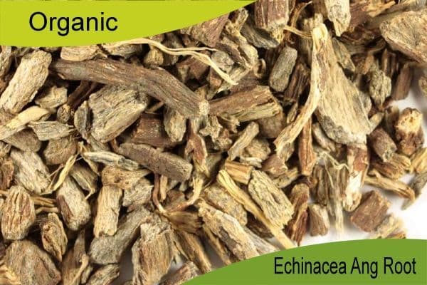 Organic Echinacea Angustifolia Root 100gm