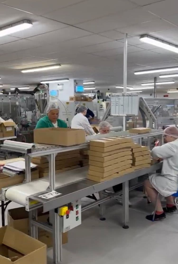 Enhancing Packaging Efficiency and Sustainability with Cutting-Edge ...