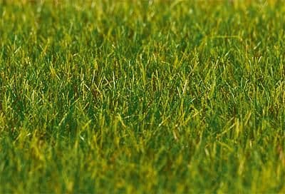 Faller 180485 HO Scale Grass Ground Cover Fibres Long
