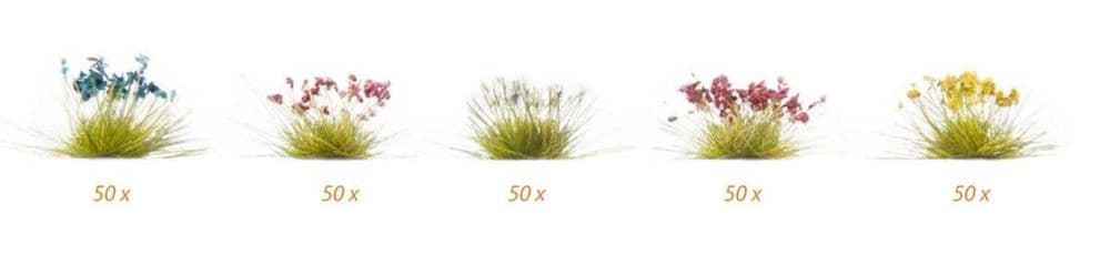 GM1645 Flowers 250