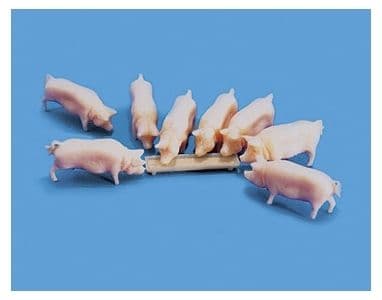 Modelscene 5176 Pigs