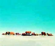 Noch N36712 N Scale Pigs 12