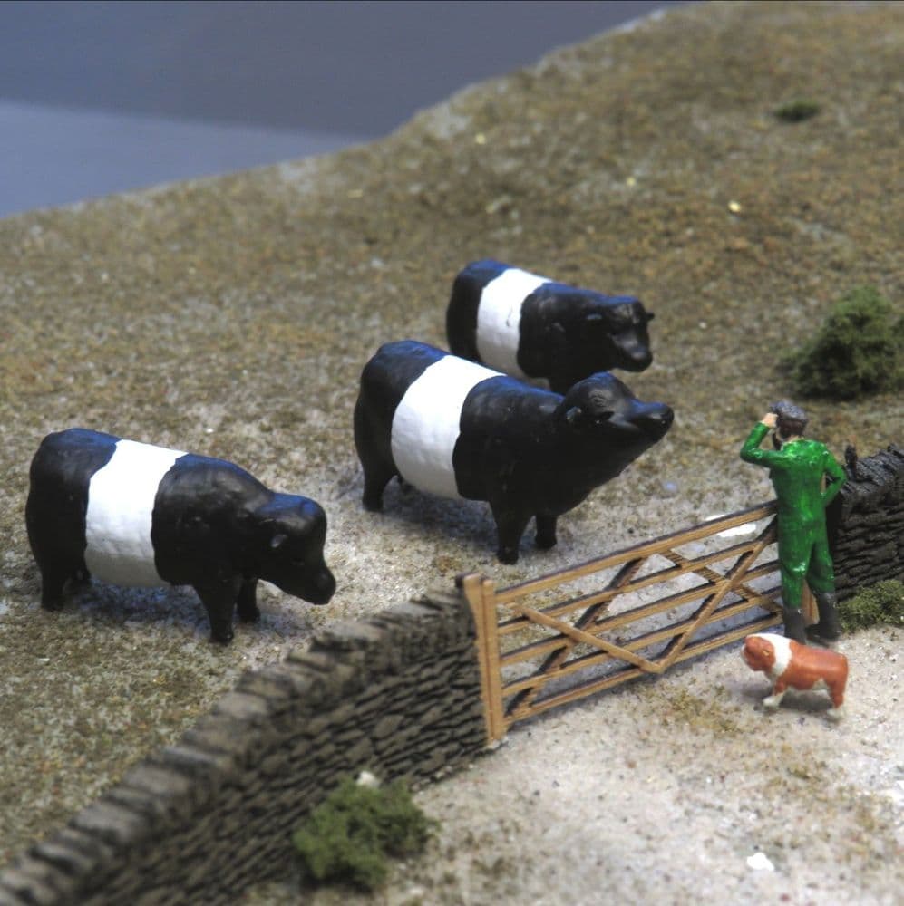 OSBF115 OO Gauge Figures Belted Galloway cattle X 3 painted