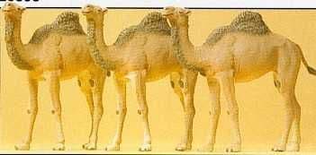 Preiser 20397 - HO / OO Scales Camels