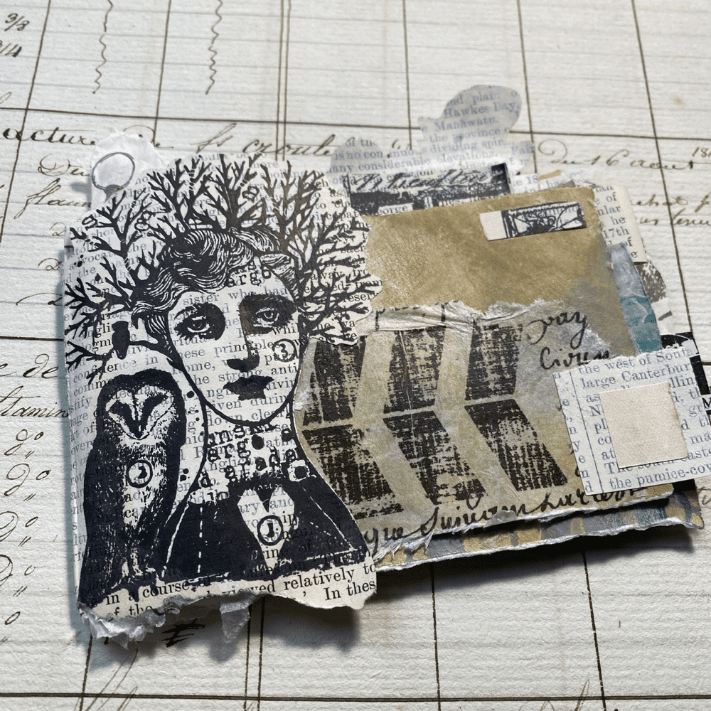 CLASS 5B - LPC Tissue Mini Book 12 00 - 13 20