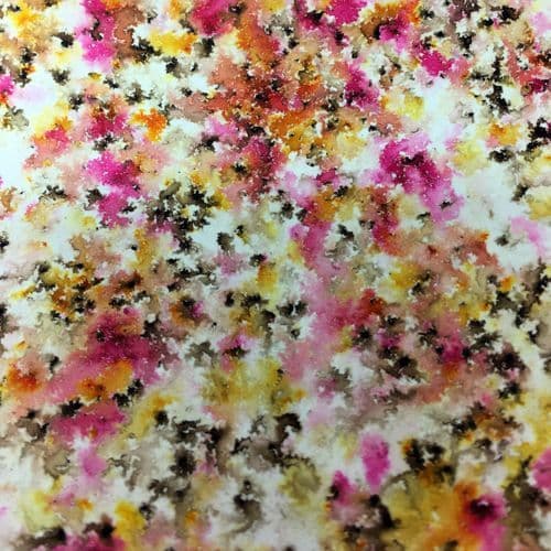 Infusions Dye Stain - Rusty Car