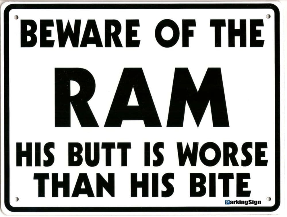 Beware of the RAM his butt is worse than his bite