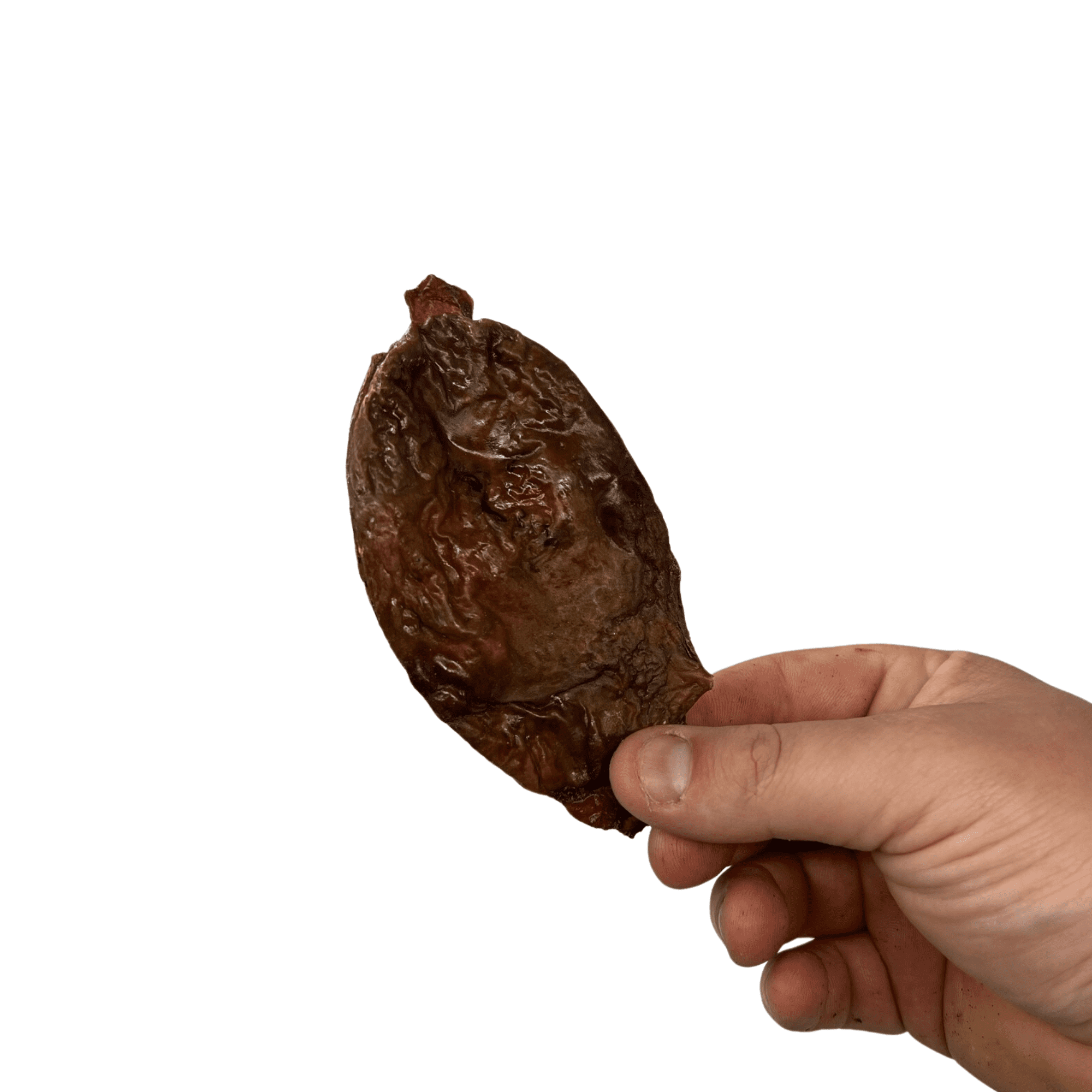 100 Natural Beef Testicle Dog Chew Cow Ball Gonads Treat