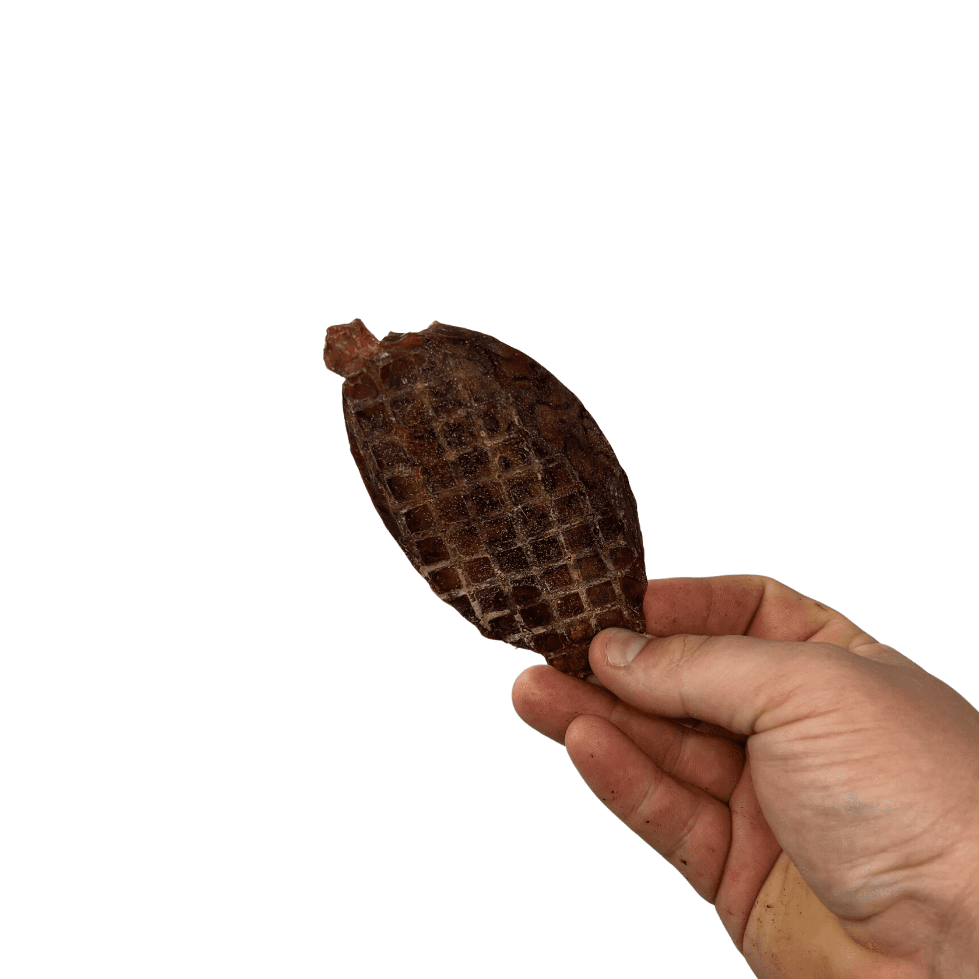 100 Natural Beef Testicle Dog Chew Cow Ball Gonads Treat