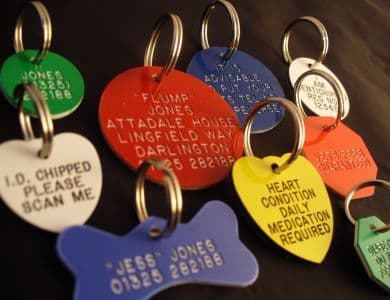 Acrylic Pet ID Identification Tags
