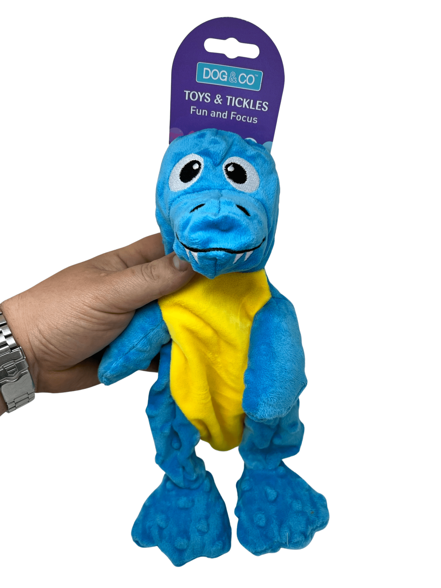 Hemmo and Co Soft Dinosaur Dog Toy Honk Squeaker Low Stuffing Plush