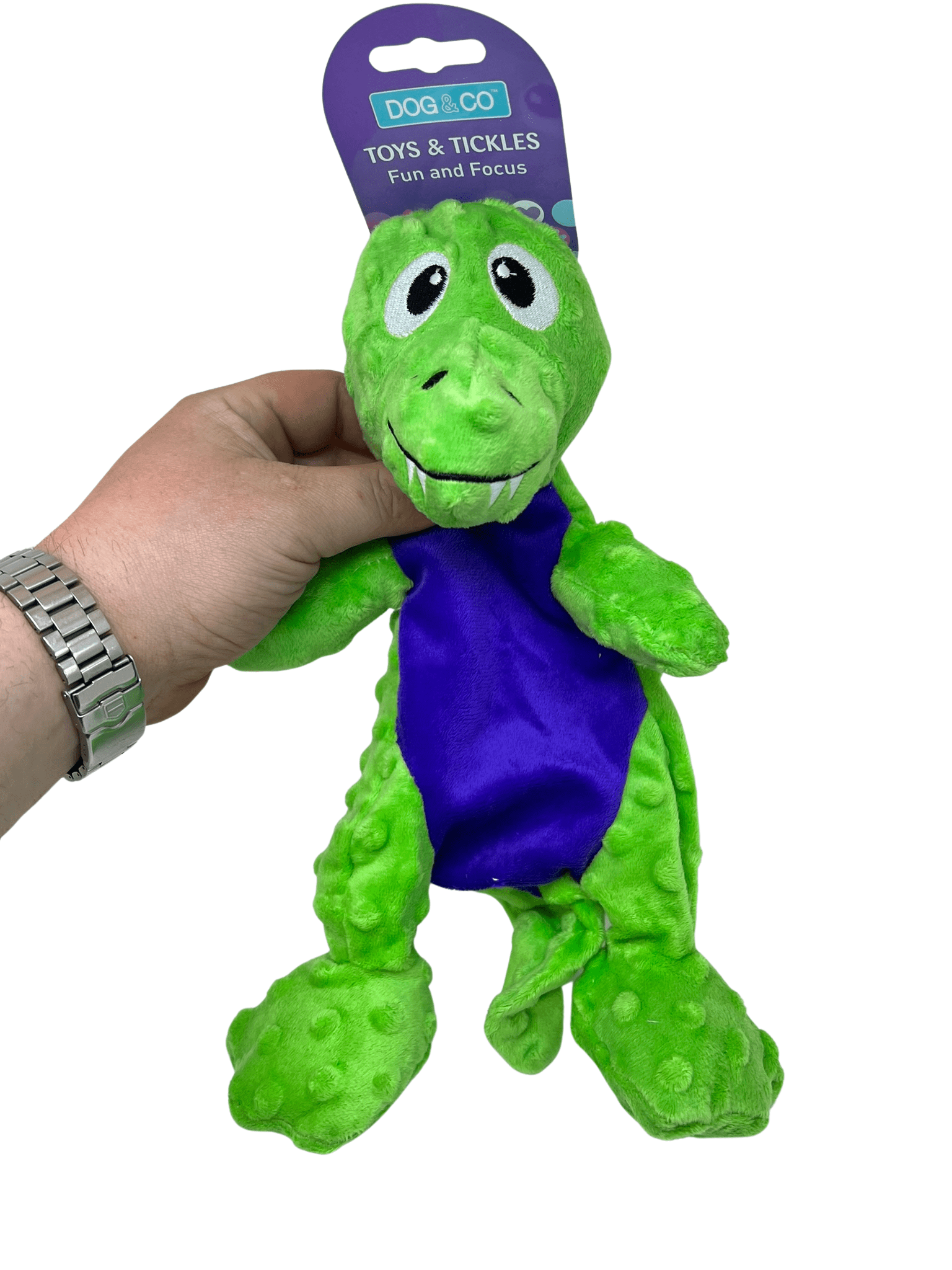 Hemmo and Co Soft Dinosaur Dog Toy Honk Squeaker Low Stuffing Plush