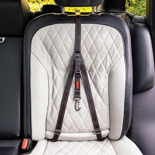 KONG Ultimate Safety Tether Car Secure Belt Iso Fix