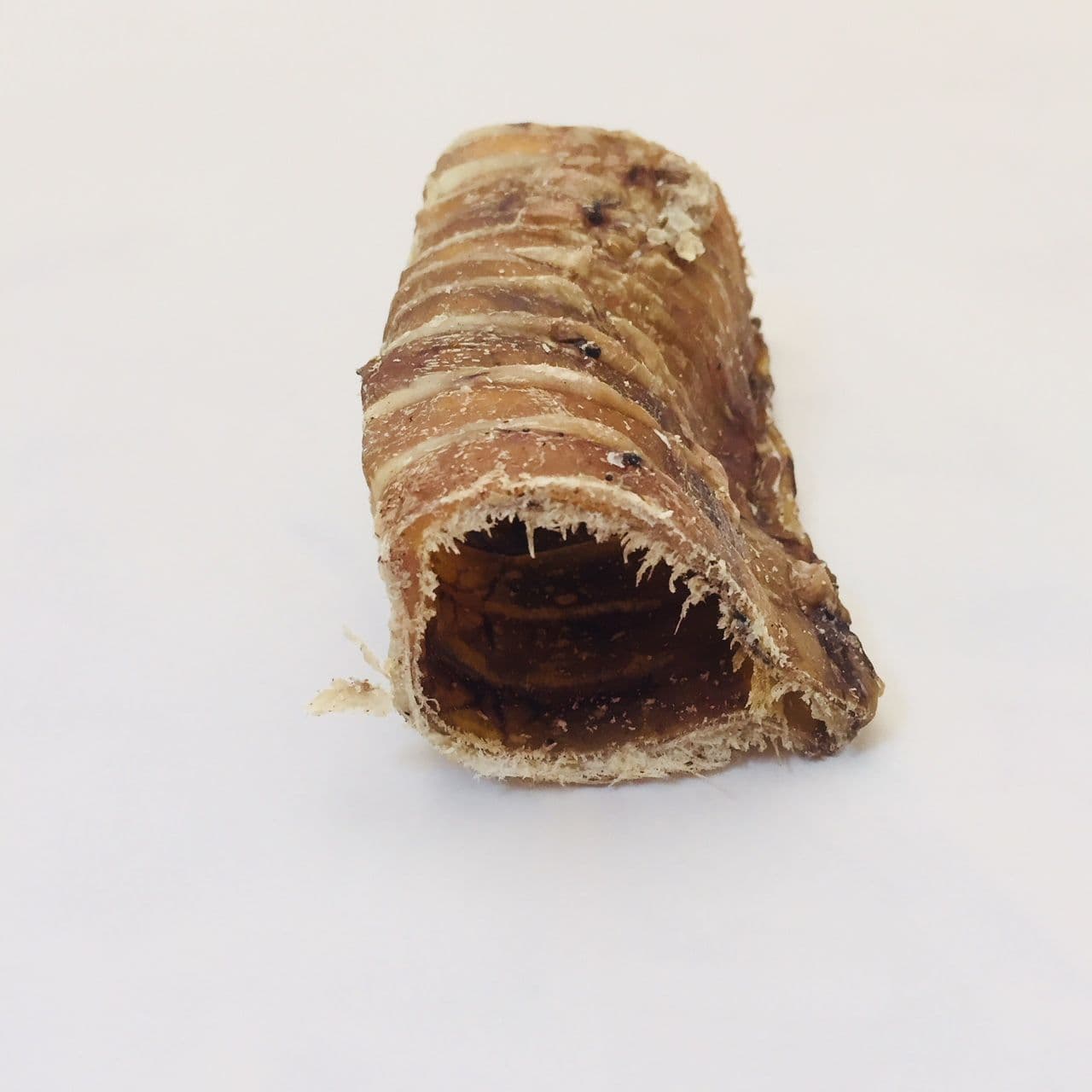 NATURAL TREATS 100 Natural Dog Treat and Chew Beef Moo Tubes Trachea ...