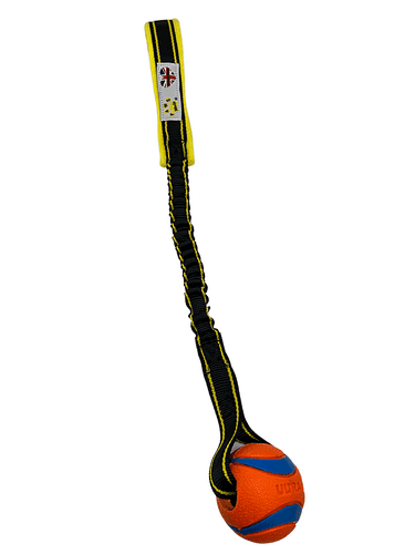 Paws Made Bungee Ultra Chuckit Ball Medium - One of the strongest balls ...