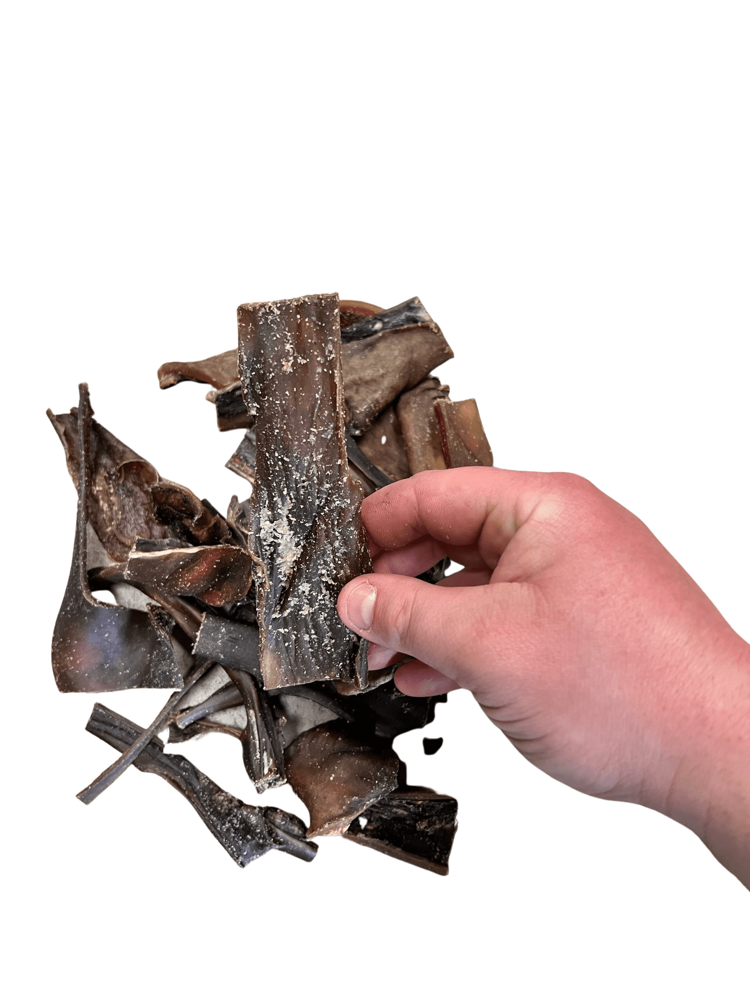 Pawstrading Camel Skin Strips Natural Long Chew Time Tough Dog Treat ...