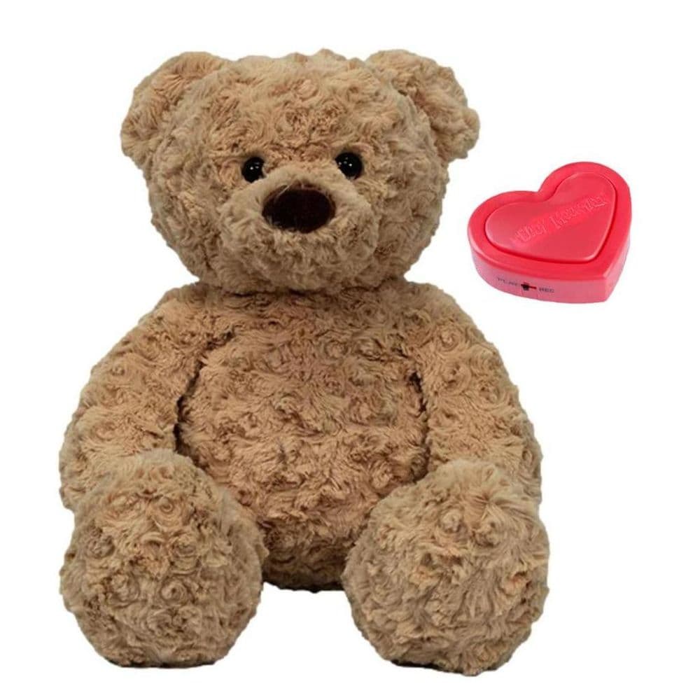 Plush teddy Voice Recording Bear - Bear Soft Plush Toy | Personalised Bears