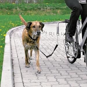 Bicycle Dog Leash - Attaches To Your Bikes Frame Bike lead