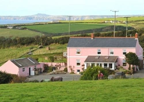 Dog Friendly BandB Broad Haven | Bower farm pet friendly bed & breakfast