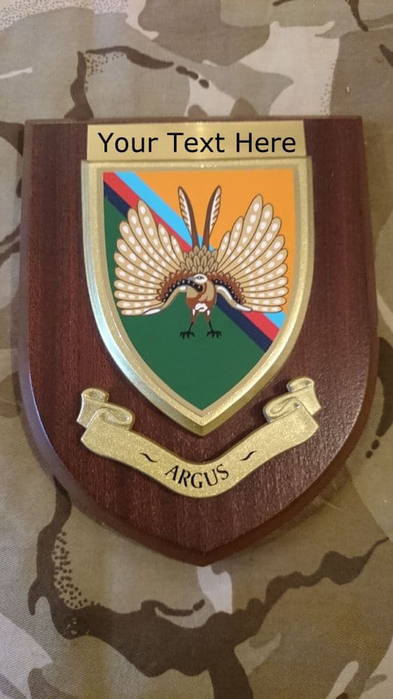 14 Intelligence ARGUS Personalised Military Wall Plaque