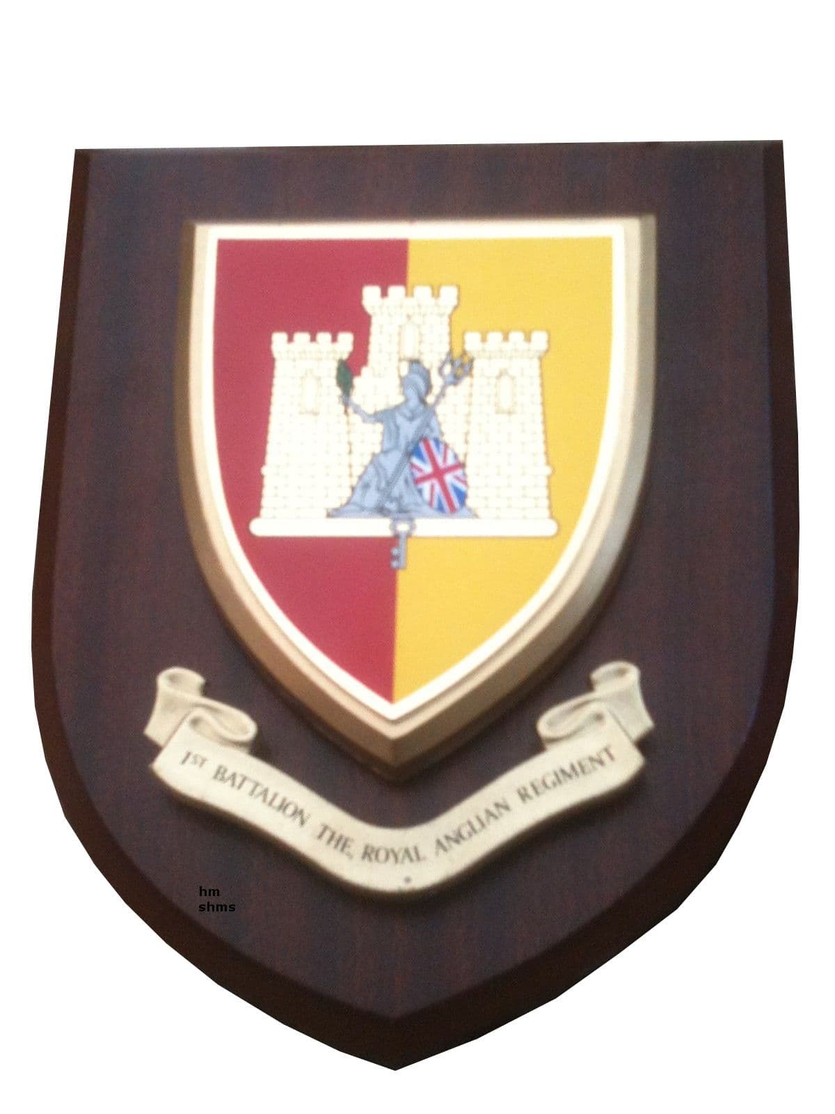 1st Bn The Royal Anglian Regiment Military Wall Plaque Shield