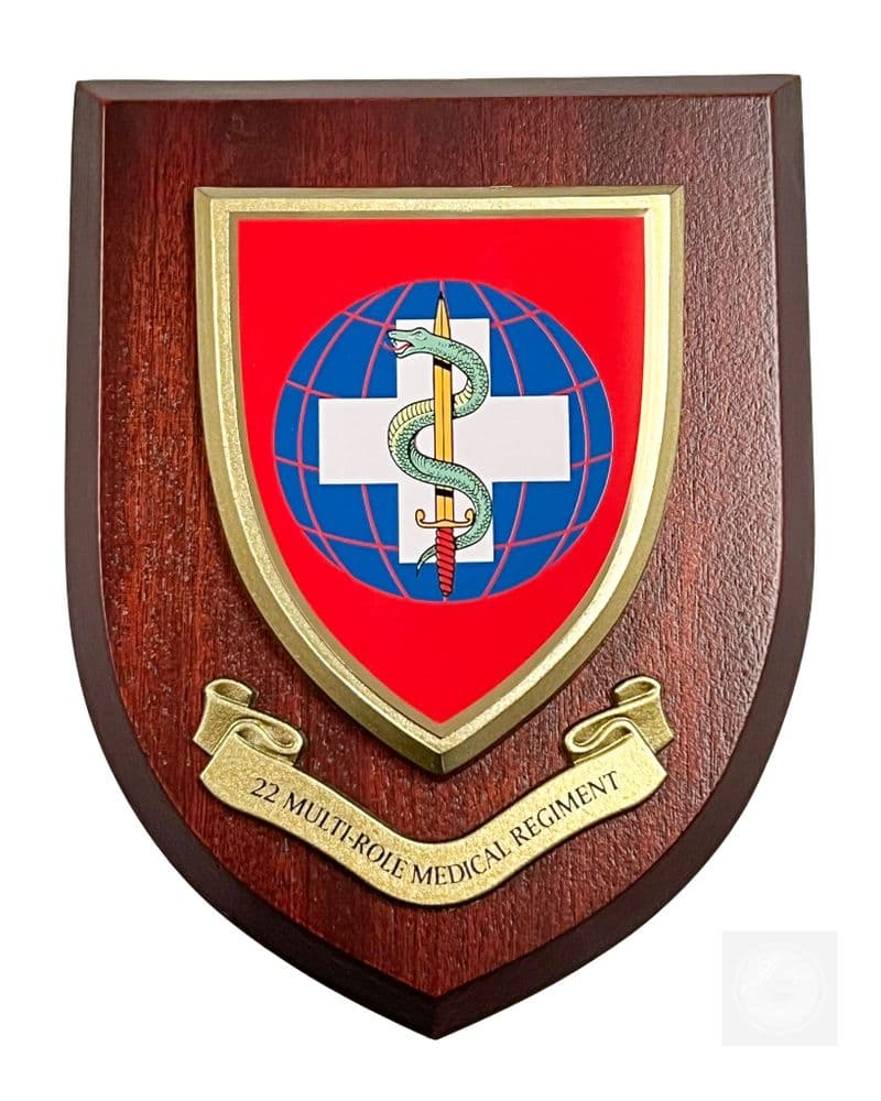 22 Multi-Role Medical Regiment Wall Plaque