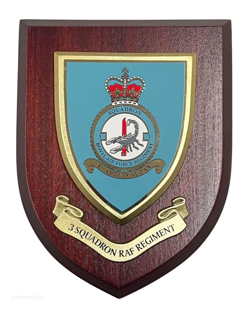 3 Squadron RAF Regiment Military Wall Plaque