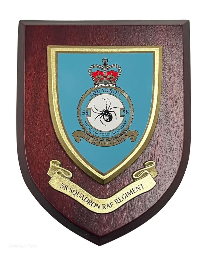 58 Squadron RAF Regiment Military Wall Plaque