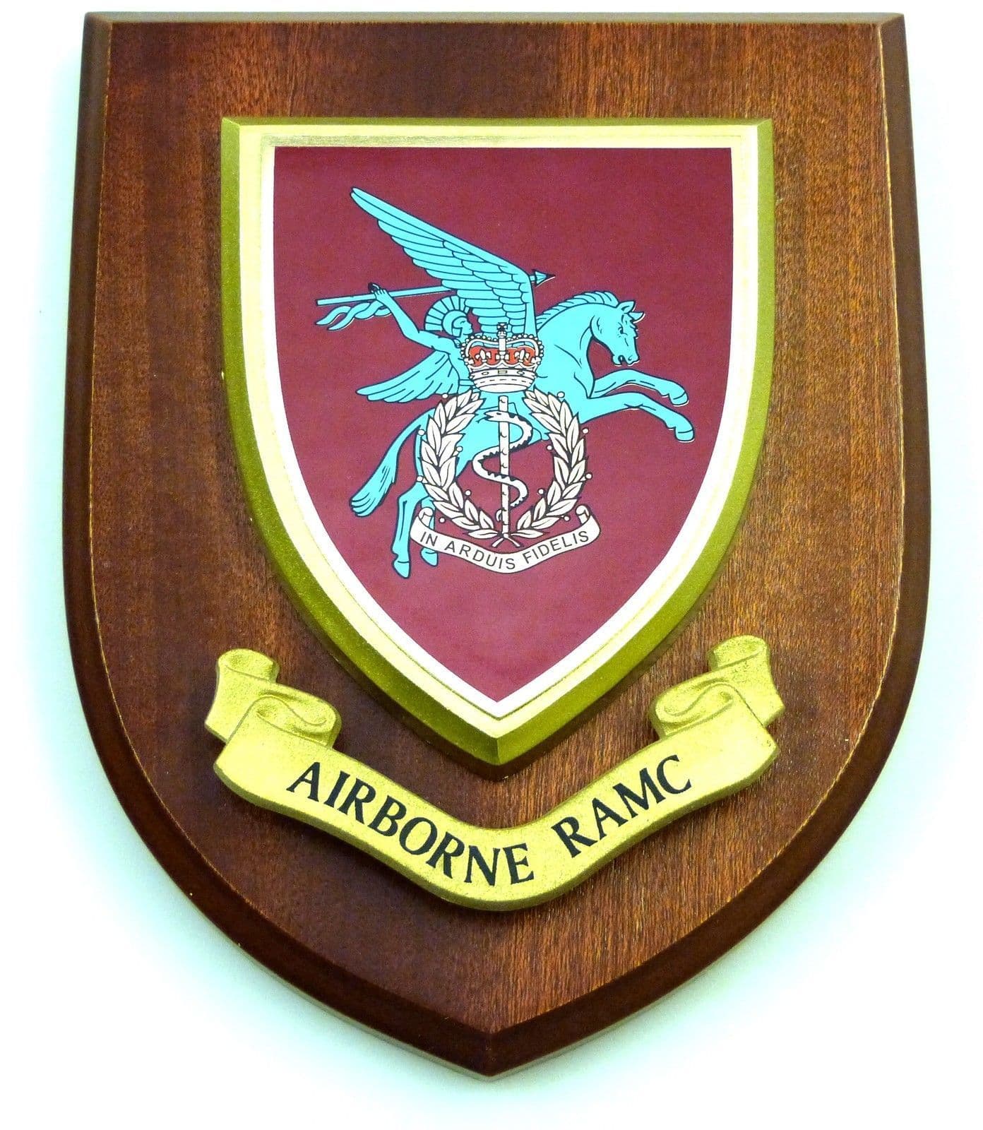 Airborne RAMC Royal Army Medical Corps Military Wall Plaque