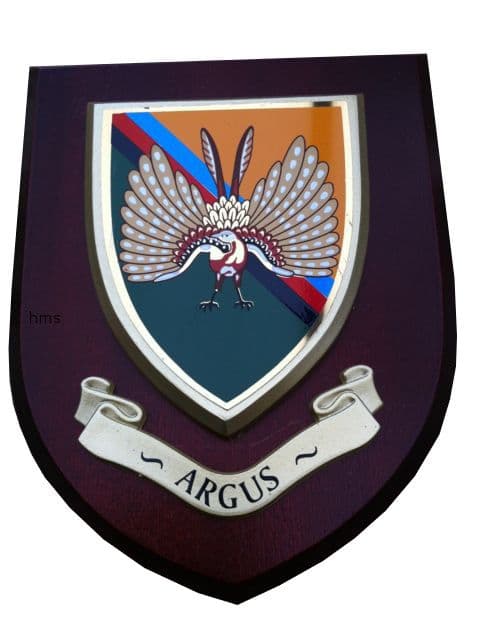 Argus 14 Intelligence Corps Regimental Wall Plaque