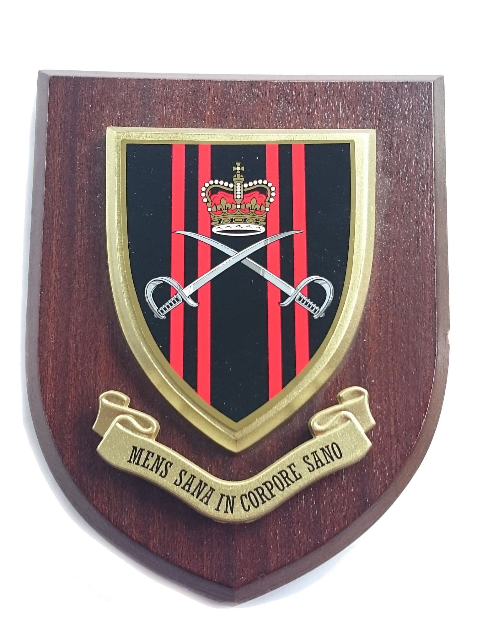 Army Pt Logo Army Medic T Shirt #army #medic #combatmedic #68w