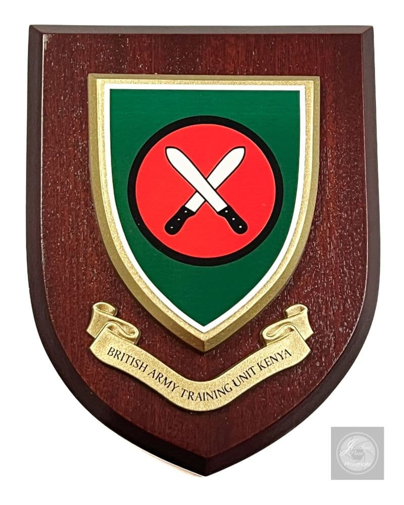 British Army Training Unit Kenya Military Wall Plaque