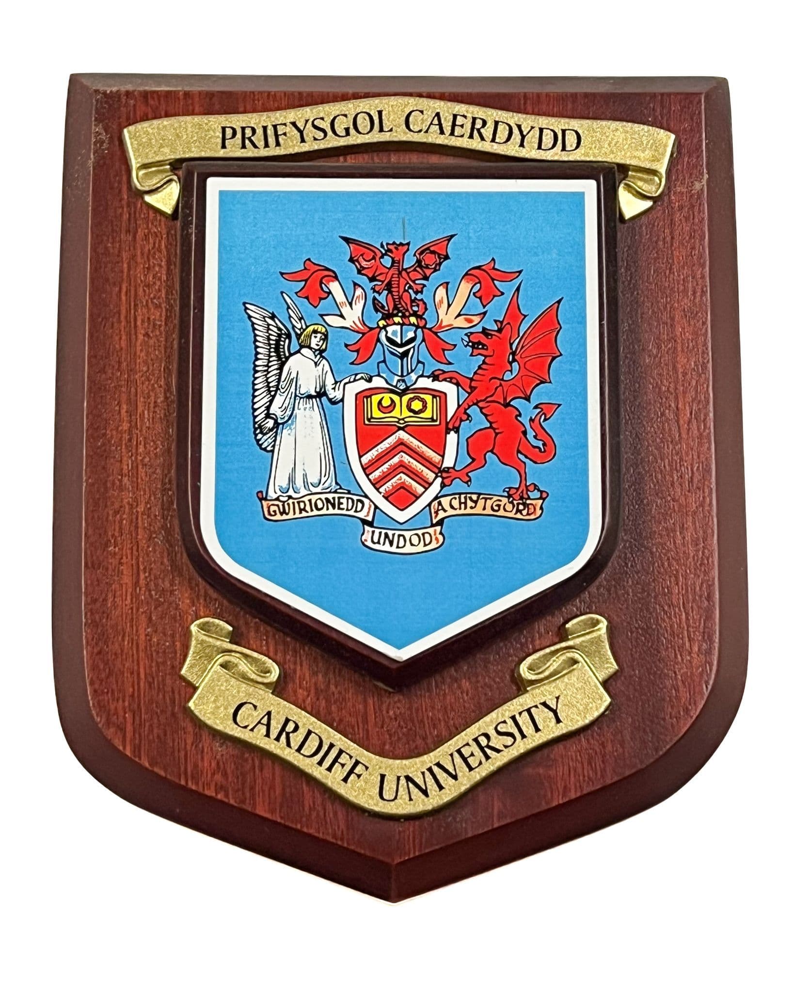 Cardiff University Logo ITI Raises Serious Concerns Over Proposed