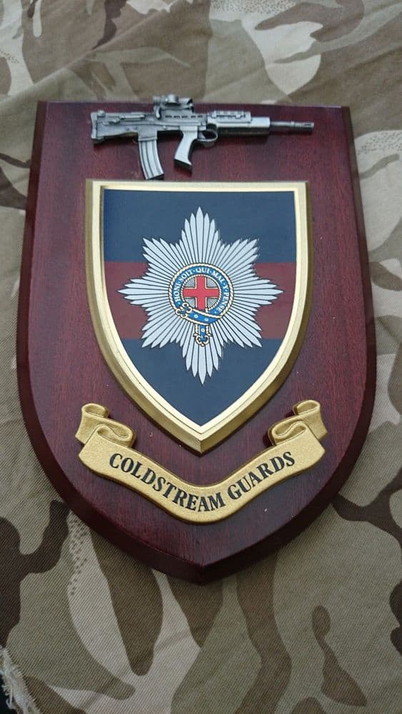 Coldstream Guards Regiment Military Wall Plaque Pewter SA80