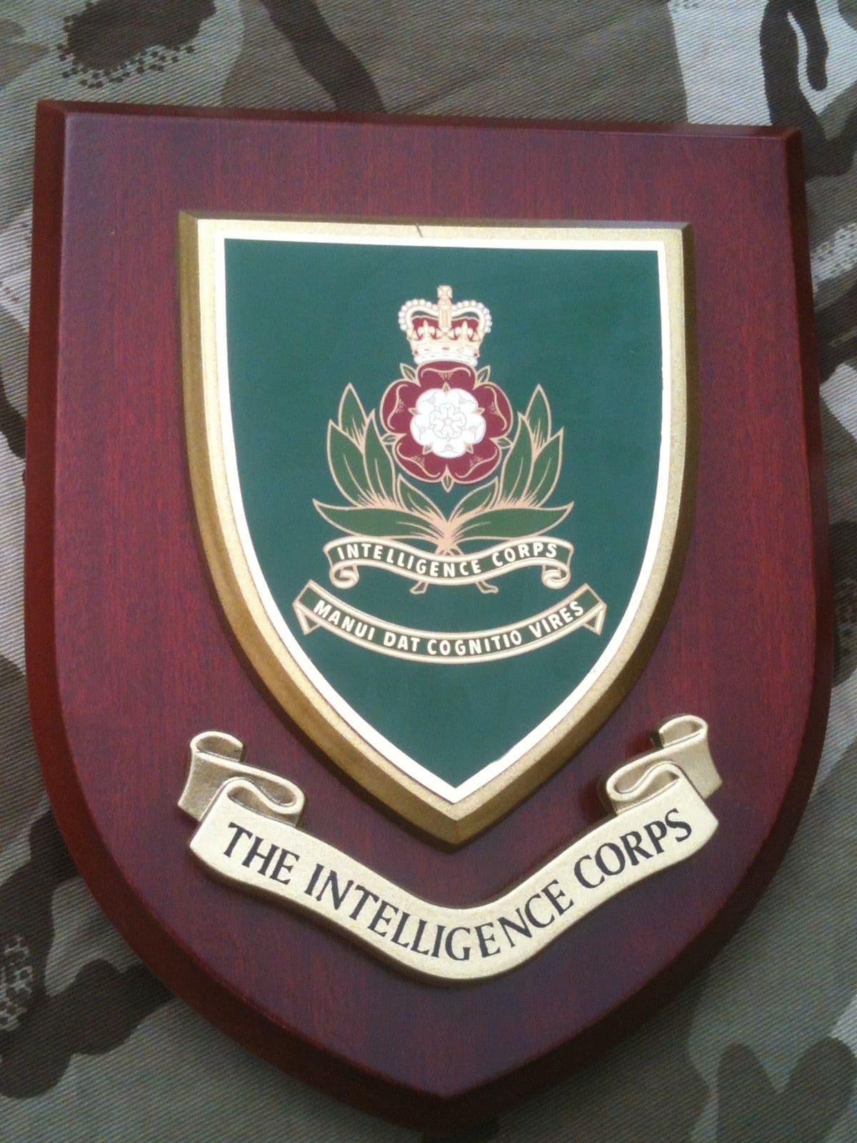 Intelligence Corps Military Wall Plaque