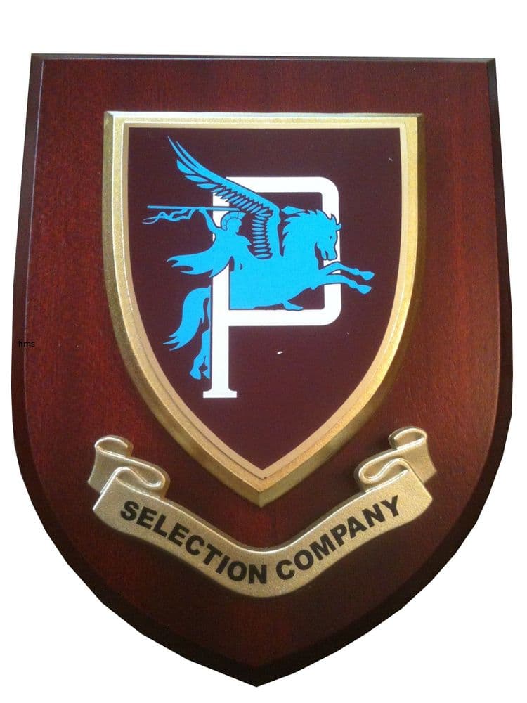 Parachute Regiment P Company Selection Military Wall Plaque Mess Shield